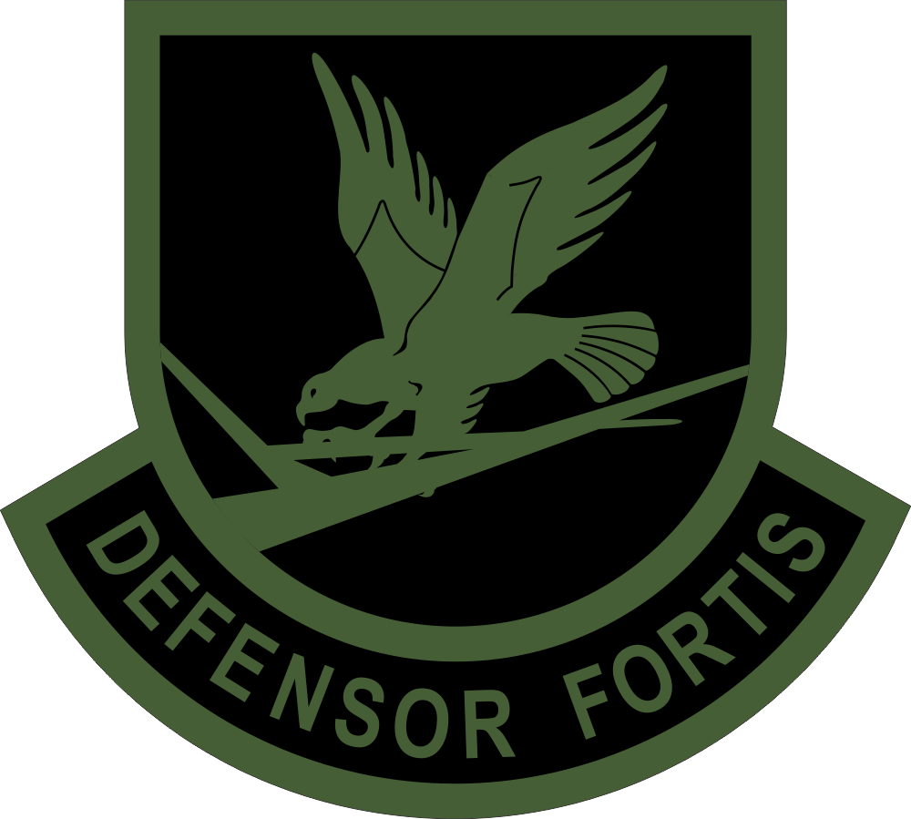 US Air Force Security Forces - Defensor Fortis Subdued Decal - Military ...