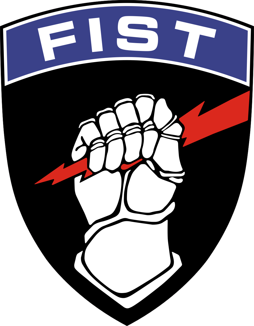 FiST Fire Support Team (v2) Decal - Military Graphics