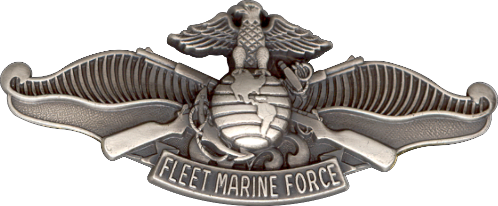 FMF Fleet Marine Force Warfare Badge Decal - Military Graphics