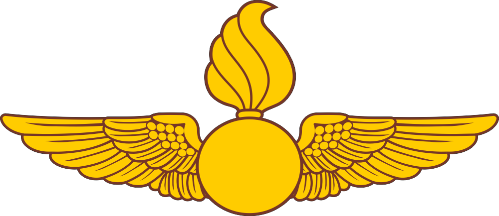 Navy Aviation Ordnance Wings (v2) Decal - Military Graphics