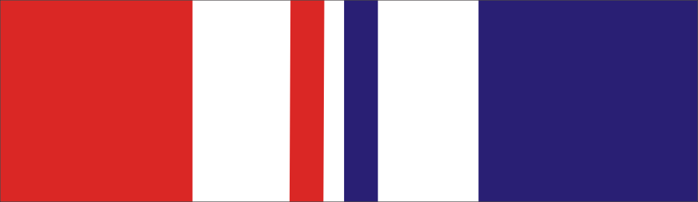 Texas Combat Service Ribbon Decal - Military Graphics