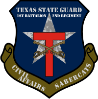 Texas State Guard 1st Battalion 2nd Regiment Decal - Military Graphics