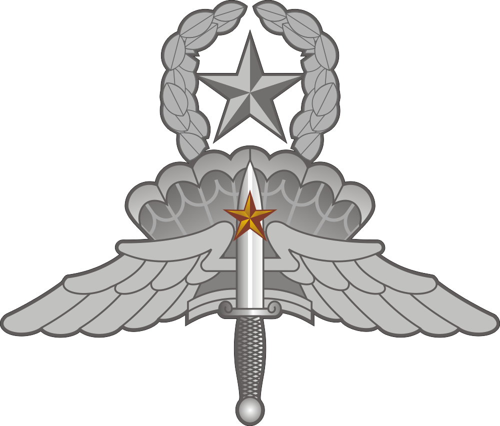 Military Freefall Parachutist (HALO-HAHO) Badge - Master with 1 Combat ...