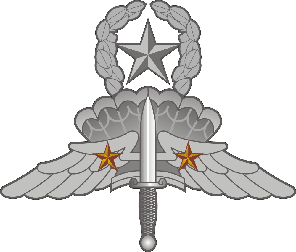 Military Freefall Parachutist (HALO-HAHO) Badge - Master with 2 Combat ...