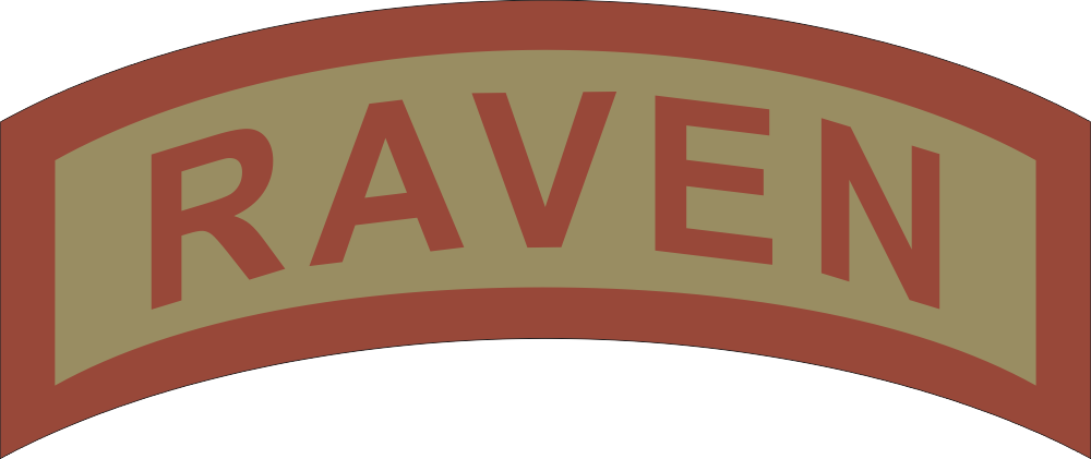 Raven Tab (Subdued) Decal - Military Graphics