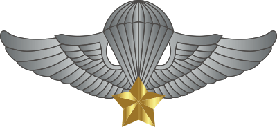 Vietnam Jump Wings (v2) Decal - Military Graphics