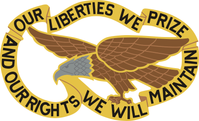 Iowa National Guard Eagle - Military Graphics
