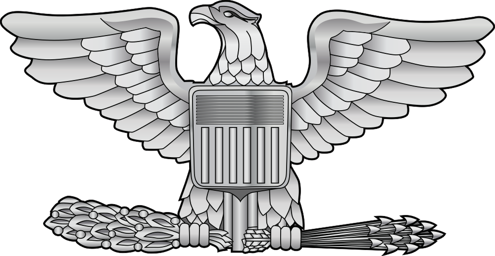 AF Colonel (COL) O-6 with olive branches - Military Graphics