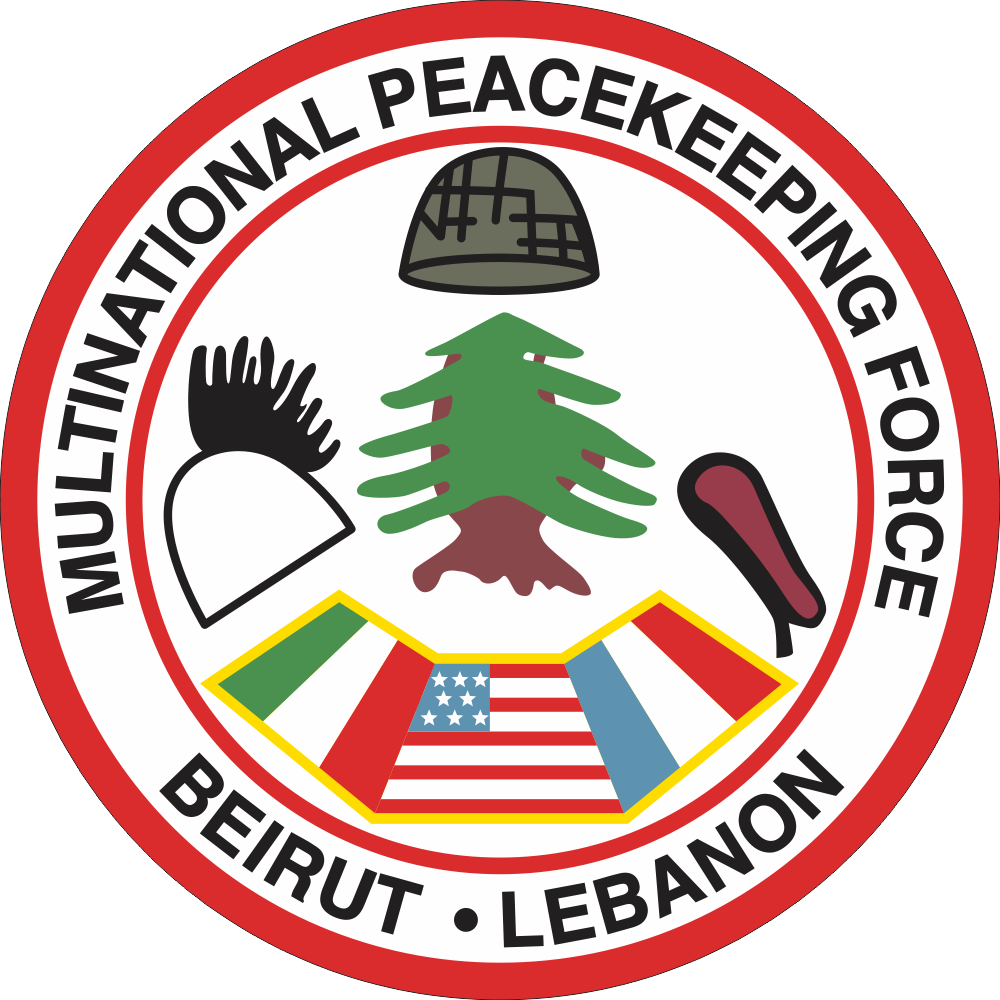 International Peacekeeping Force Decal - Military Graphics